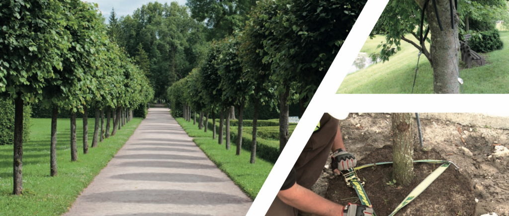 Gripple Staking System – Griffin Trees Wholesale Nursery